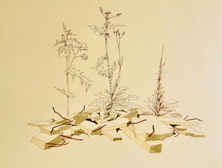 India Art Fair announces dynamic programme for upcoming 17th edition ...